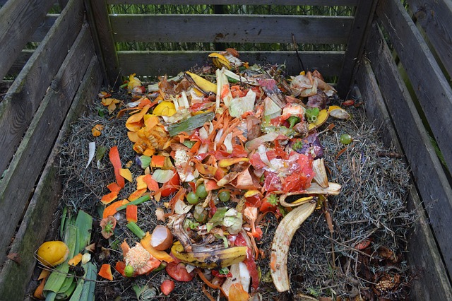 What Can I Put In My Compost Bin? 79 Things You Can Compost